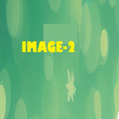 NATIONAL INTEGRATED WELFARE AND DEVELOPMENT TRUST (NIWAD)